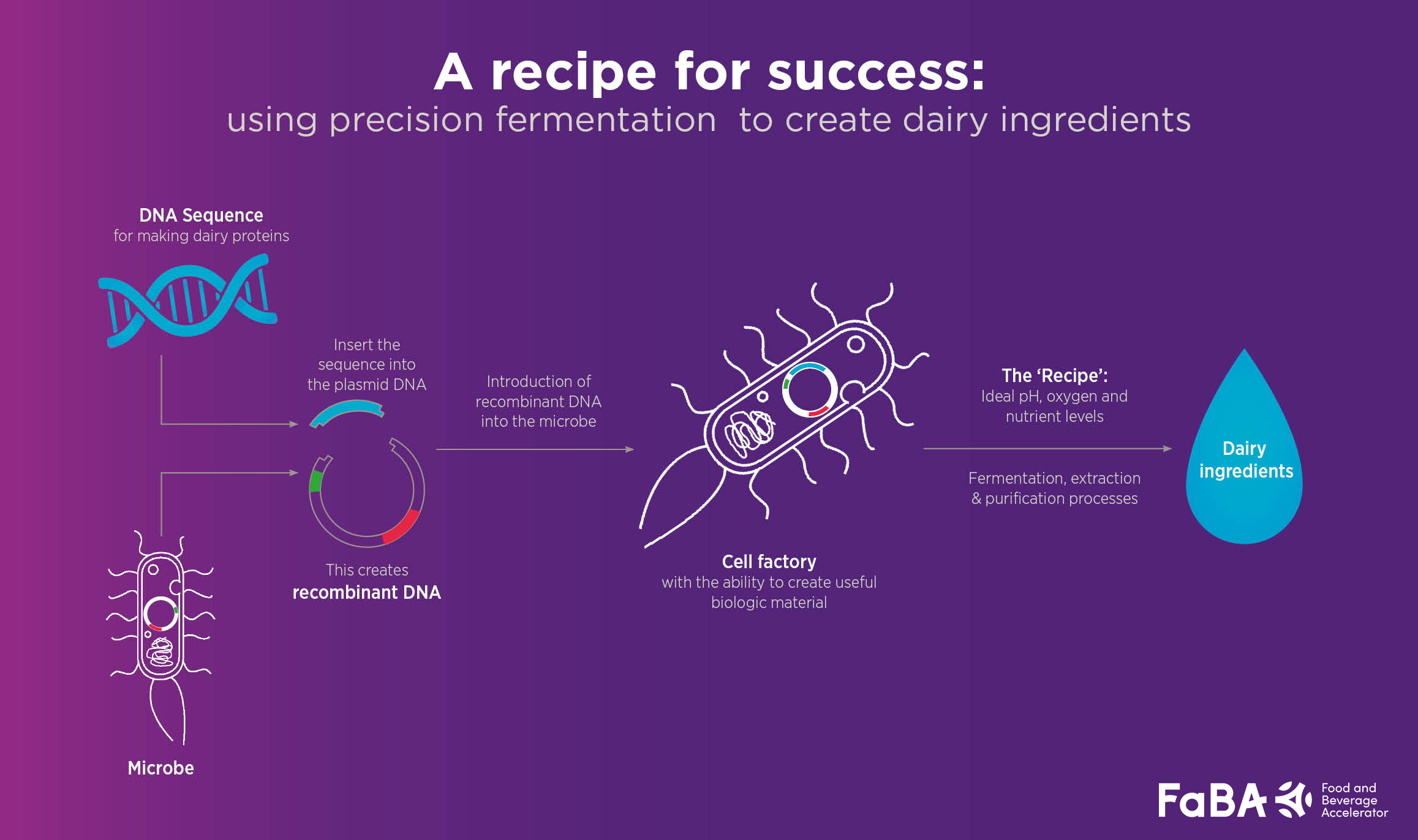 A recipe for success: FaBA dairy tech scales to industry - Australian Institute for ...